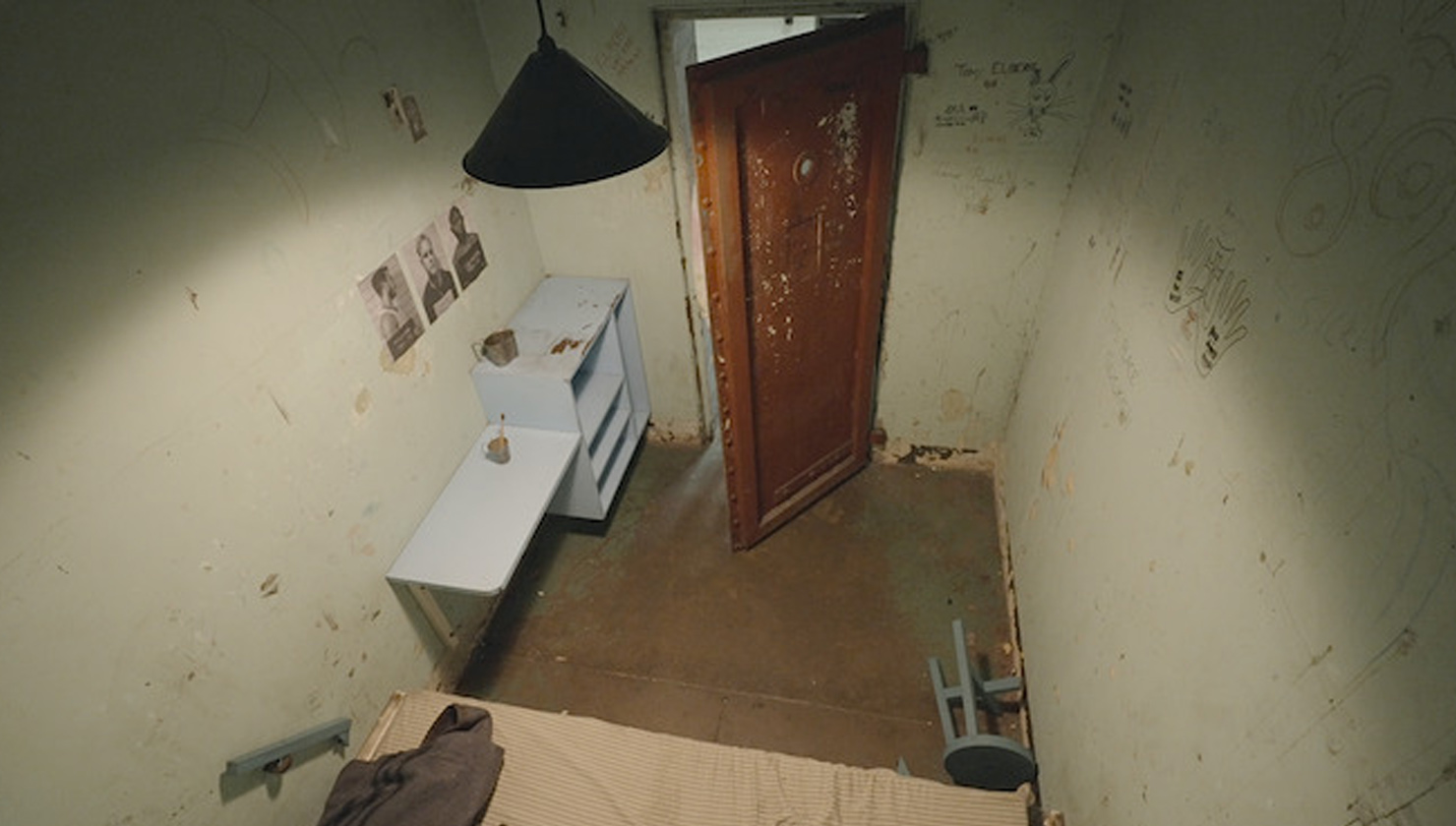 The Mole Trivia Quiz