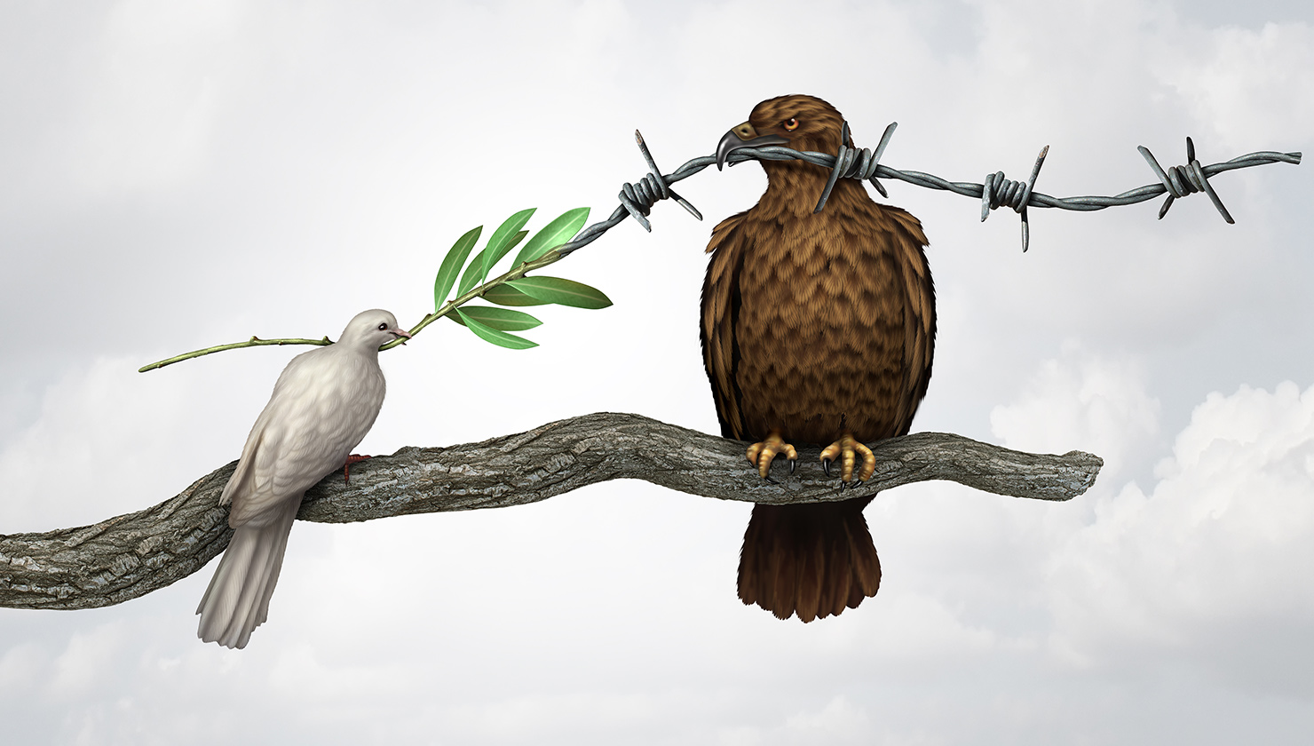 Are You a Hawk or a Dove?