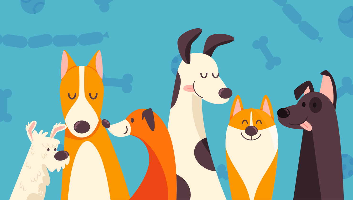 Dogs Recognition Quiz