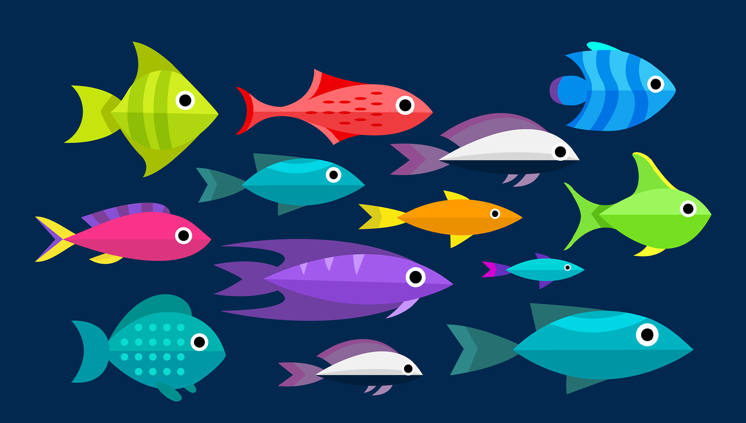 Fish Recognition Quiz